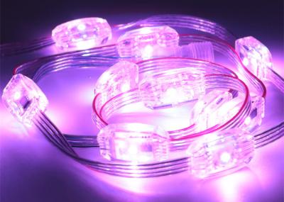 China 22mm Waterproof IP67 UCS1903 SMD5050 Curtain Led String for sale