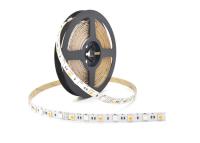 China Multi Colours Color Changing Led Ribbon Lights SMD 5050 RGB+W 60 LEDS CE Rohs Approval for sale