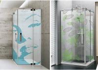 China Beautiful Custom Bathroom Shower Glass With Digital Printing Pattern for sale