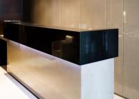 China Classic Black Back Painted Glass Thickness 5mm For Furniture Decorative for sale