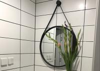 China Professional Copper Free Mirror / Lead Free Silver Framed Bathroom Mirrors for sale