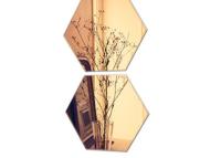 China Attractive Tinted Wall Mirror , Eco Friendly Tinted Plate Glass Multi Color for sale