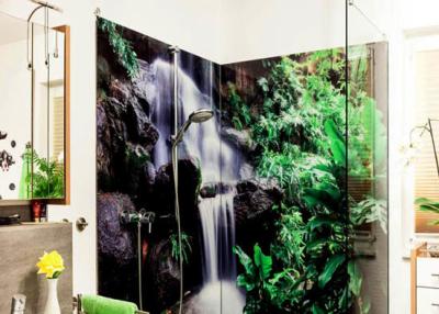 China Custom Bathroom Shower Glass , Tempered Digital Ceramic Printing On Glass for sale