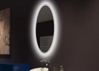 China Wall Mounted Smart LED Bathroom Mirror / Oval Bathroom Mirrors With Lights for sale