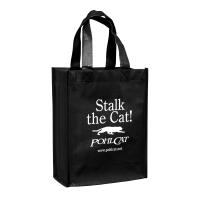 China Custom Logo Non-Woven Shopping Bag 80gsm 100gsm Eco-Friendly Promotion Tote for sale