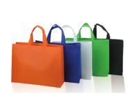 China Custom Logo Non-Woven Shopping Bag 80gsm 100gsm Eco-Friendly Promotion Tote for sale