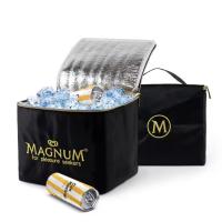 China Custom Insulated Cooler Bag 6 Cans Portable Thermal Lunch Picnic Tote with Logo for sale