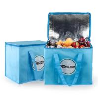 China Custom Insulated Cooler Bag 6 Cans Portable Thermal Lunch Picnic Tote with Logo for sale