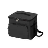 China Custom Waterproof Insulated Lunch Cooler Bag 12 Can Capacity for Food Delivery School Office for sale