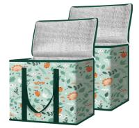 China Custom Printed Insulated Reusable Cooler Bag Collapsible Heavy Duty 30L for sale