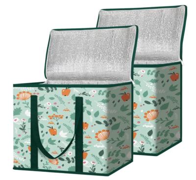 China Custom Printed Insulated Reusable Cooler Bag Collapsible Heavy Duty 30L for sale