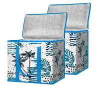 China Custom Printed Insulated Reusable Cooler Bag Collapsible Heavy Duty 30L for sale