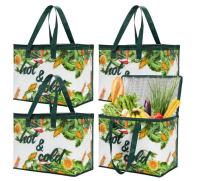 China Custom Printed Insulated Reusable Cooler Bag Collapsible Heavy Duty 30L for sale