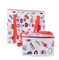 China Custom Printed Insulated Reusable Cooler Bag Collapsible Heavy Duty 30L for sale