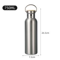 China 17oz 25oz Double Wall Insulated Stainless Steel Water Bottle with Handle Leakproof Lid for sale