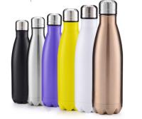 China Leak Proof Double Wall Insulated Water Bottle 17oz 500ml 304 Stainless Steel Sports for sale