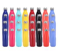China Wholesale 17 oz Stainless Steel Insulated Water Bottle Double Wall Vacuum Leak Proof Sports Cup 500ml for sale