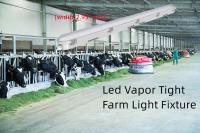 China 4FT Tri Proof LED Light Fixture 42W Linear Vapor Tight Light for Food Storage Durable for sale
