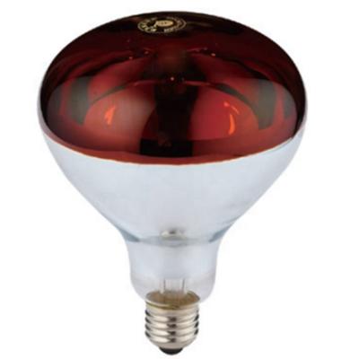 China 230V 100-250W Reptile Breeding Bulb Lampshade Modern Design Roasted Red Ø125mm for sale