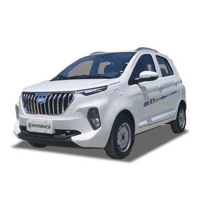 China Raysince New model electric vehicle 4 Seats 5 door China high speed electric car for sale