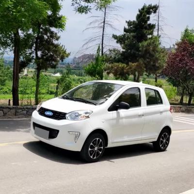 China Raysince high end quality vehicle electric wholesales cheap price fast electric car for adult for sale