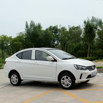 China Raysince good quality mini electric vehicle wholesales cheap price electric mini vehicle for family car for sale