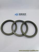 China 0734309345 Hyundai ZF Shaft Seal Premium Rubber Oil Seal for Excavator Hydraulic Cylinder for sale