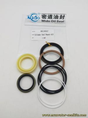China Premium Cylinder Seal Repair KIT 4614057: Complete Overhaul Solution for sale