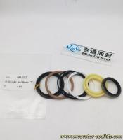 China Premium Cylinder Seal Repair KIT 4614057: Complete Overhaul Solution for sale