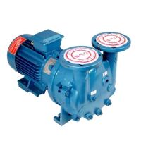 China 2BV Water Ring Industrial Vacuum Pump Manufacturers For Paper Making Chemical Industry for sale
