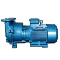 China ISO9001 Industrial Liquid Ring Vacuum Pumps Manufacturers Single Stage for sale