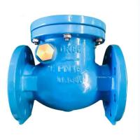 China WCB Swing Check Valve Stainless Steel For Industrial Application for sale