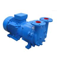 China Rotor Diameter 300-1480mm Water Ring Vacuum Pump for High Temperature Environments for sale