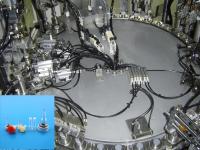 China ISO and GMP Compliant Medical Product Assembly Machine for Non-PVC Infusion Caps and Injection Ports for sale