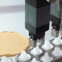 China Stainless Steel Cap Screwing Machine for Bottle Capping for sale