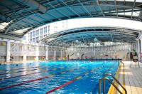 China Pre Engineered Steel Structure Swimming Pool Roof With Steel Sheet Roof Panel for sale