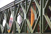 China High Reliable Temporary Steel Pedestrian Q345B Prefabricated Steel Material for sale