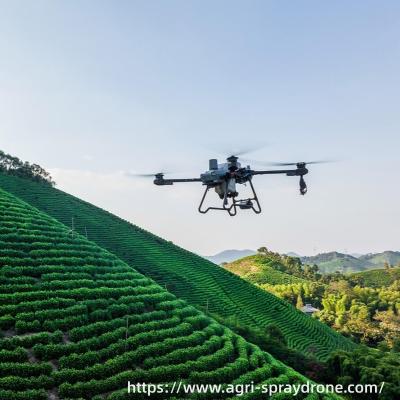 China DJI T50 Agriculture Drone with 48kg Spraying Capacity 50L Tank and 24 L/Min Flow Rate for Crop Protection for sale