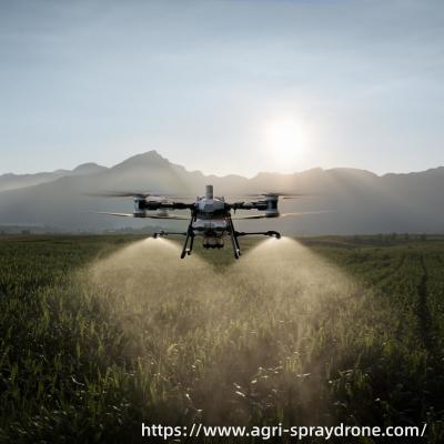 China DJI Agras T50  1.5 Tons of Fertilizer Spreading per Hour, Built for Argentina’s Large-Scale Farming for sale