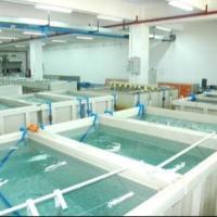 China OEM ODM Electrophoresis Coating Solution Industrial Coating for sale