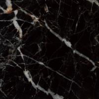 China Double Layer Polished Porcelain Tile 600*600mm Black Golden Rose for sale