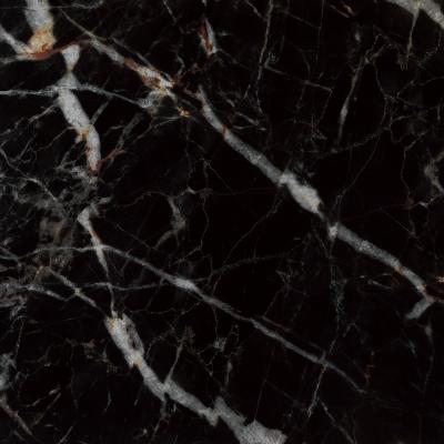 China Double Layer Polished Porcelain Tile 600*600mm Black Golden Rose for sale