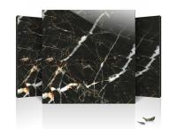 China Double Layer Polished Porcelain Tile 600*600mm Black Golden Rose for sale