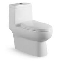 China Bathroom Ceramic One Piece Toilet Modern Comfort Height Sanitary Wares for sale