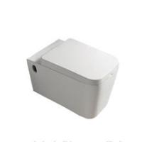 China Bathroom Ceramic One Piece Toilet Modern Comfort Height Sanitary Wares for sale