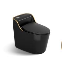 China Water Saving Siphonic Flushing Toilet Ceramic With Soft Closing Seat Cover for sale