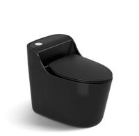China Water Saving Siphonic Flushing Toilet Ceramic With Soft Closing Seat Cover for sale