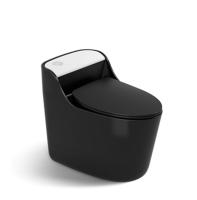 China Water Saving Siphonic Flushing Toilet Ceramic With Soft Closing Seat Cover for sale