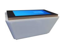China 55 Inch Windows LCD Touch Screen Monitor Display Game Table, Golden Object Recognition for sale