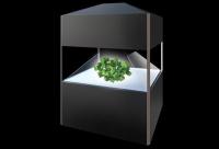China 42 Inch 360 Degree Holographic Display Pyramid , Virtual 3d Hologram Display Showcase for sale
